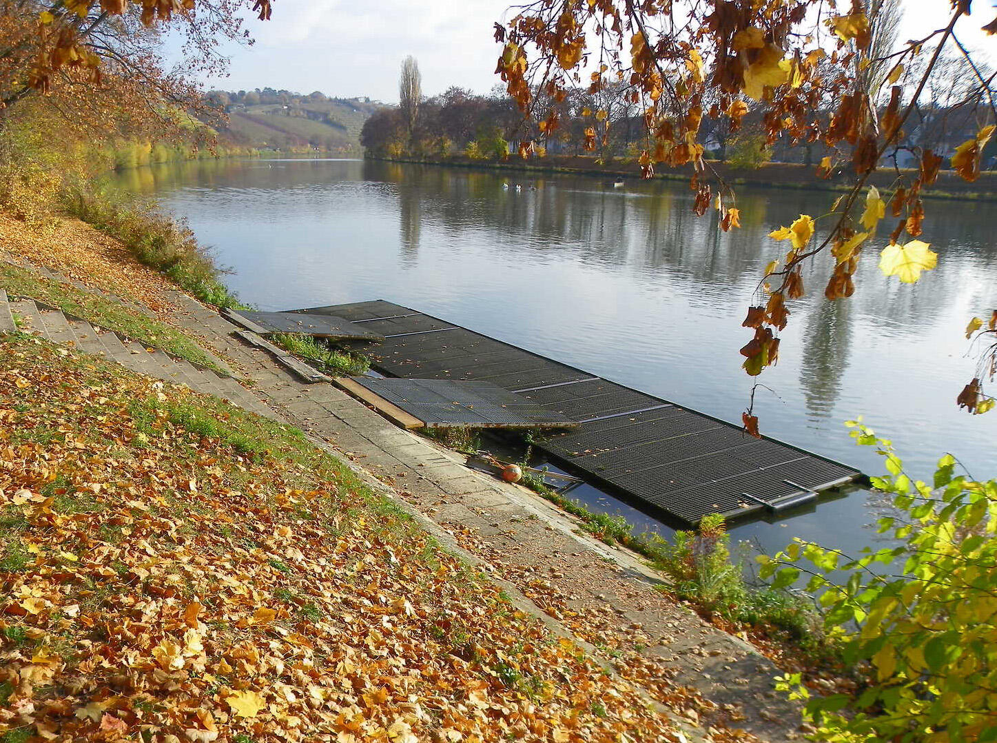 Neckar | Württembergischer Anglerverein e.V.