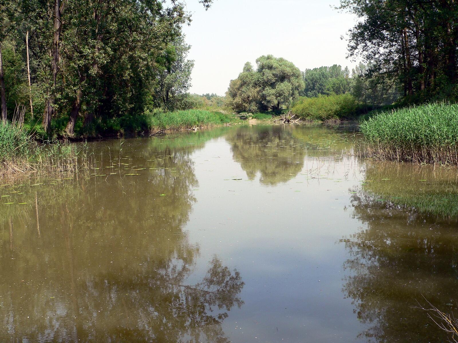 Donau | Württembergischer Anglerverein e.V.