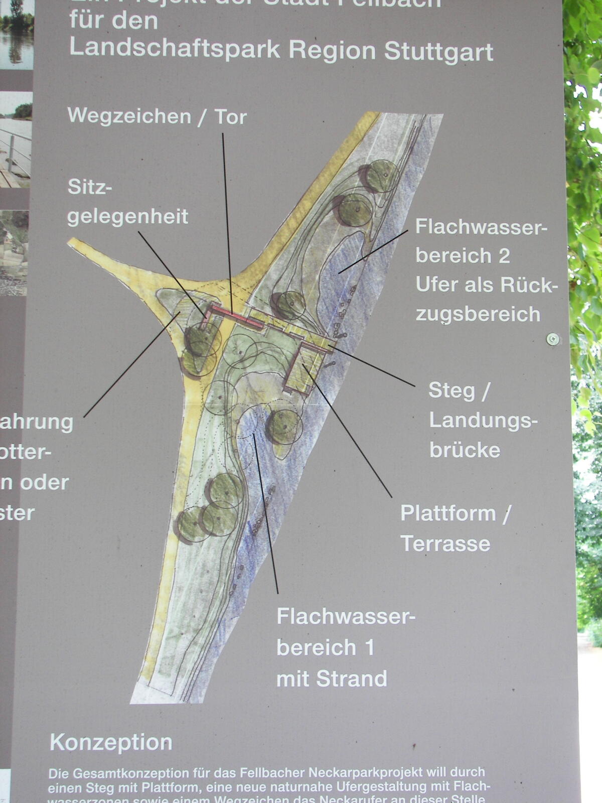 Neckar Hegebereich Abschnitt IX | Württembergischer Anglerverein e.V.